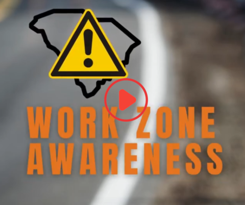 Driver's License | SCDMV